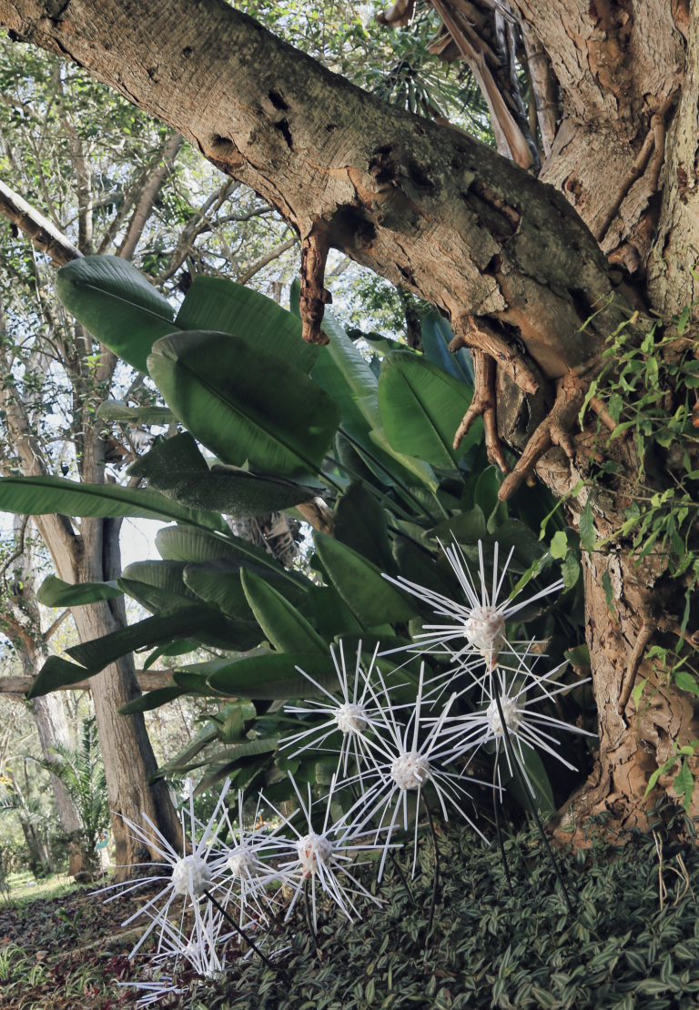 Etat d’urgence d’instant poétique - A+E Magazine