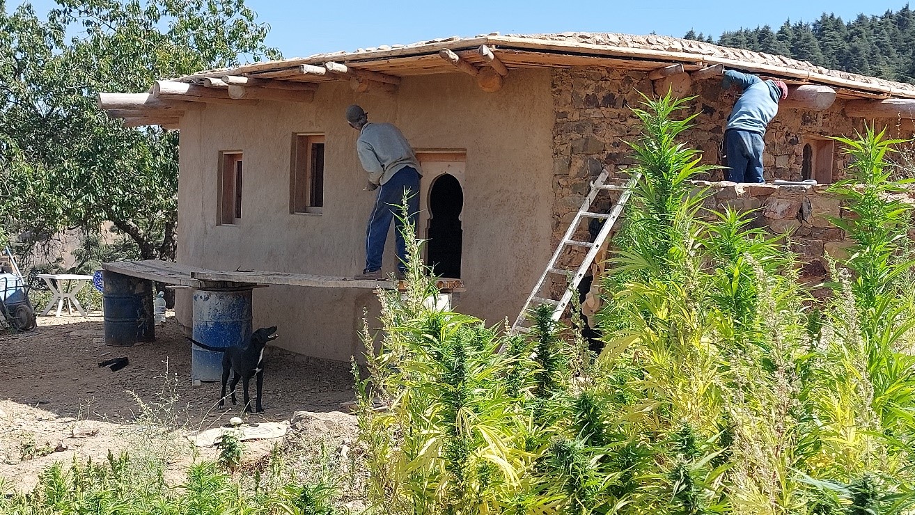 Projet DAR AL KIF : transformer le cannabis en matériaux durables